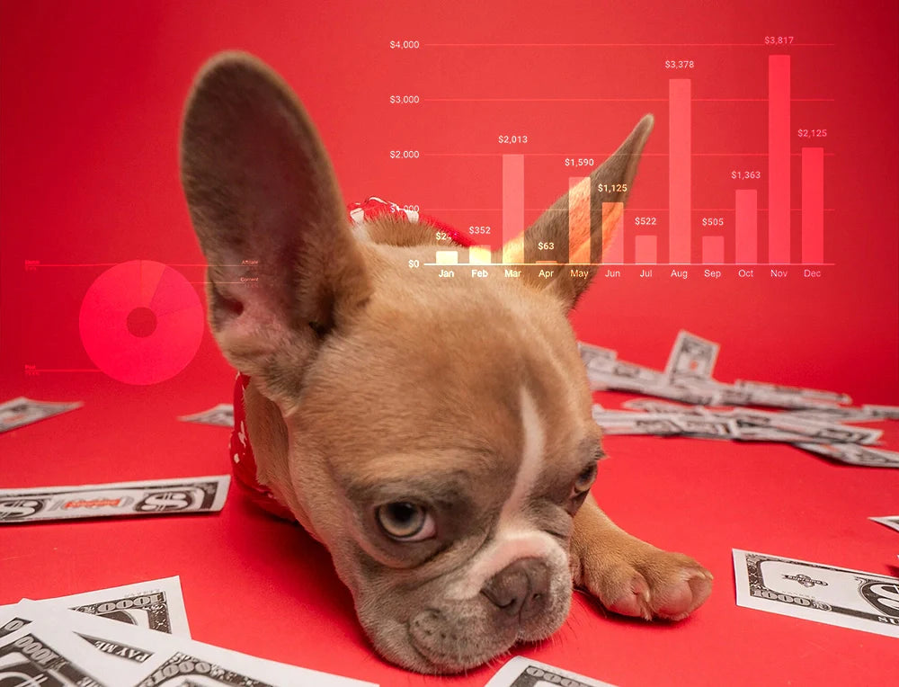 How to Make Money with Your Dog: Turning Your Furry Friend into an Inf ...