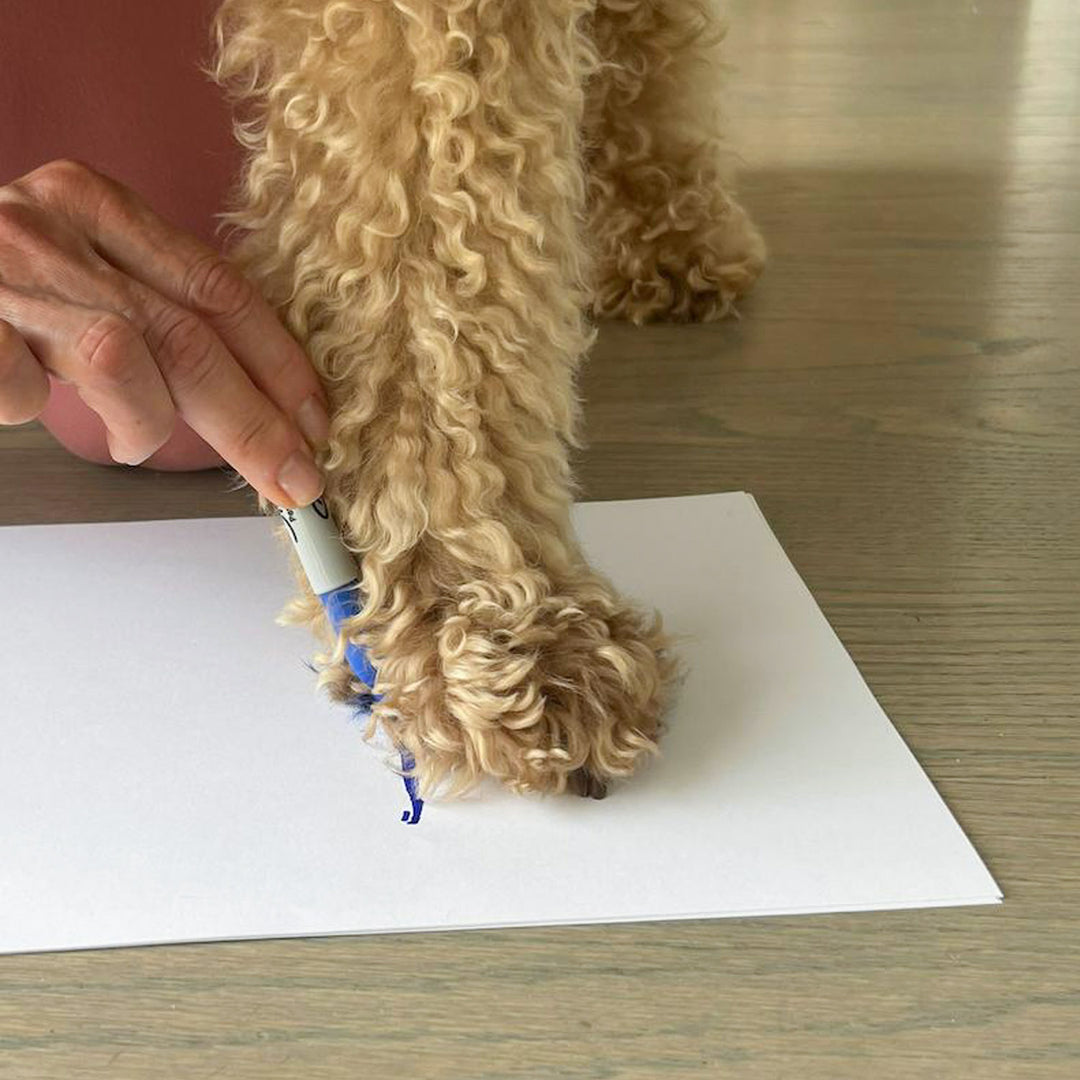 Walkee Paws Size Chart | Product Sizing Guide for Your Dog