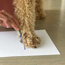 Walkee Paws Size Chart | Product Sizing Guide for Your Dog