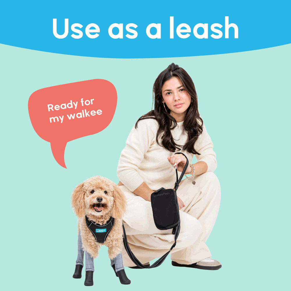 4-in-1 Bag & Leash Combo — [ꜰɪɴᴀʟ ꜱᴀʟᴇ] – Walkee Paws