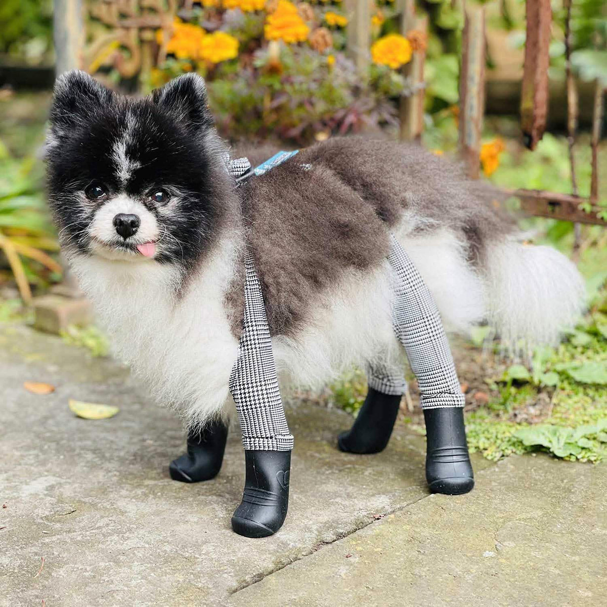 Shop Deluxe Easy On Dog Boot Leggings – Walkee Paws