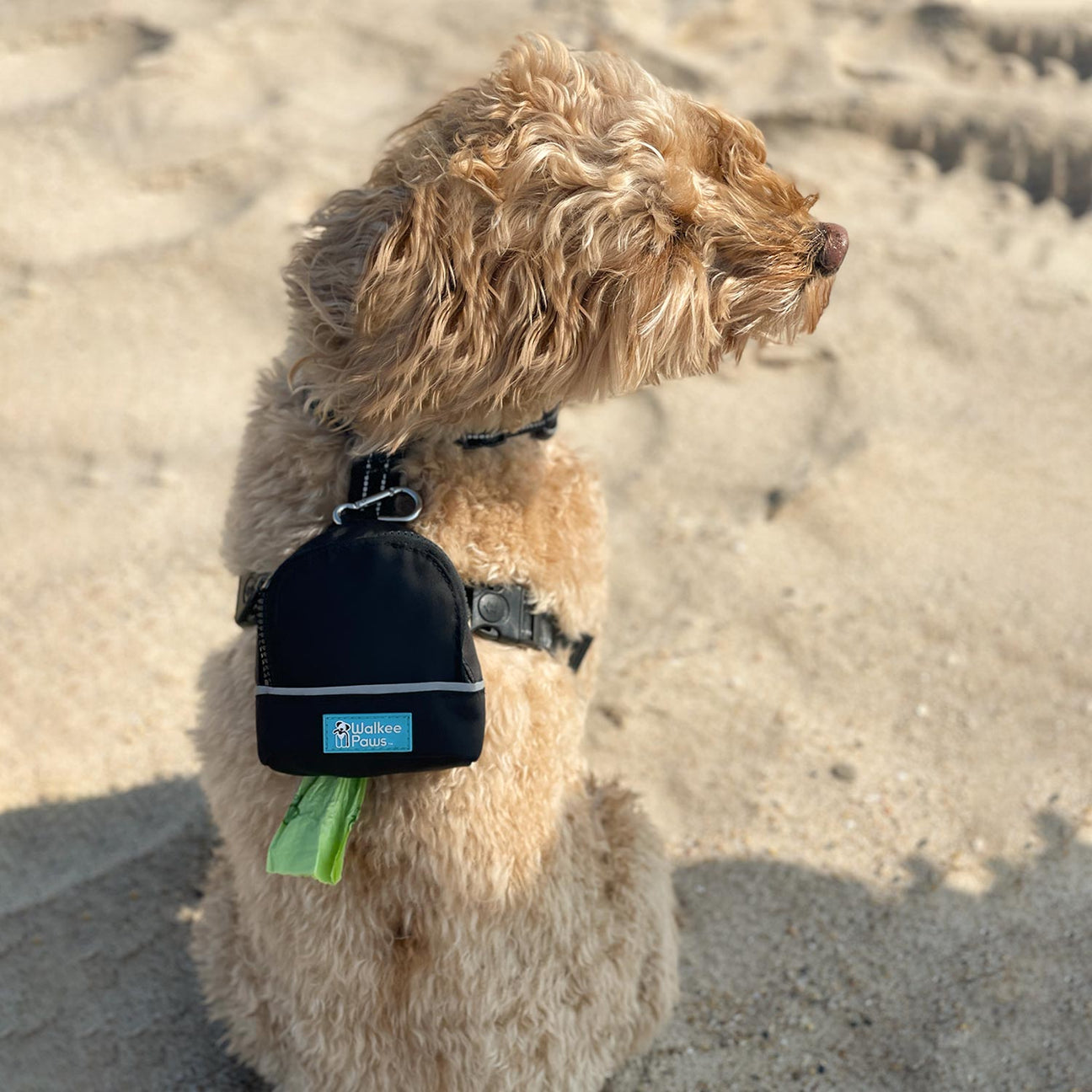 All- In-One Dog Boot Leggings - Never lose a dog boot again! – Walkee Paws