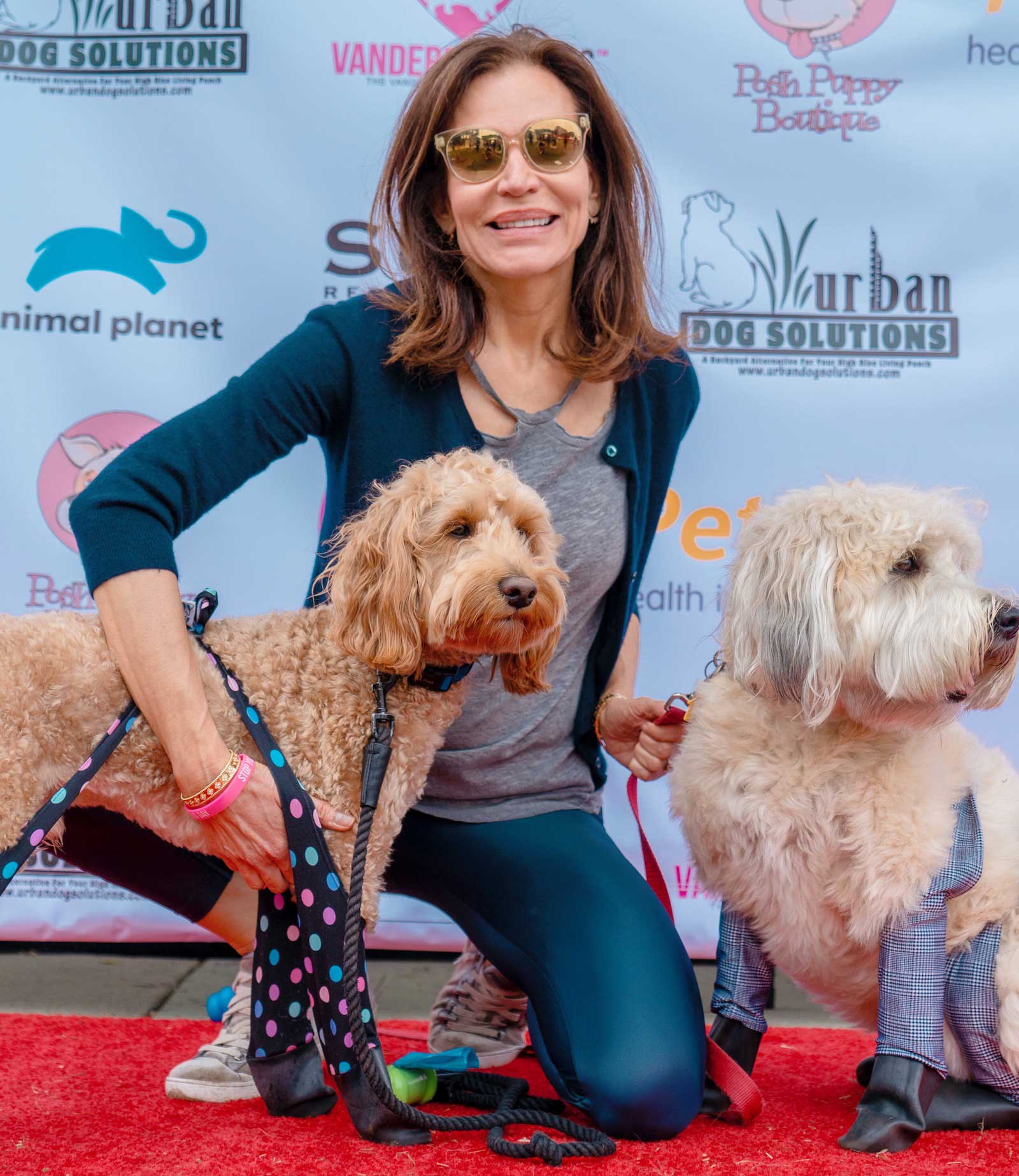 Walkee Paws | Our Brand Story | Learn About the Better Dog Boot